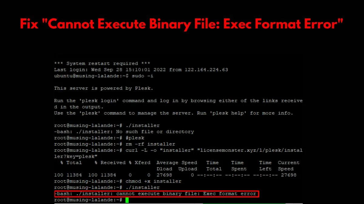 How To Fix Cannot Execute Binary File Exec Format Error Izoate