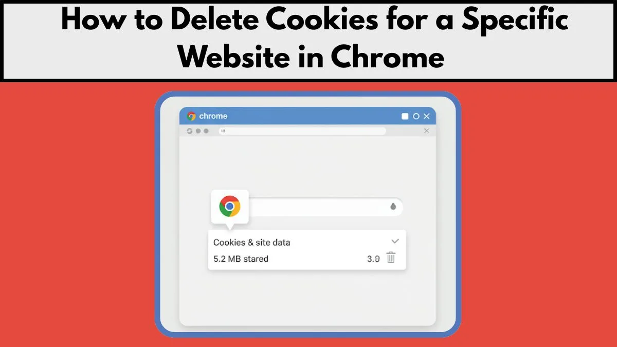 How to Delete Cookies for a Specific Website in Chrome - Izoate